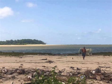 O que fazer na Ilha do Marajó Soure e Salvaterra Além da Curva