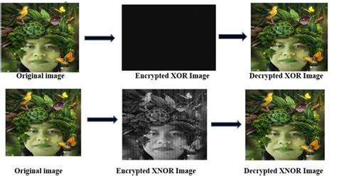 digital image encryption using laplace transform and lfsr