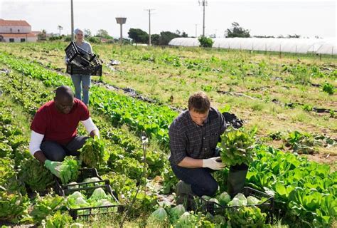 Mapa Prepara Novo Cadastro Nacional Para Registro De Agricultores