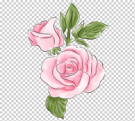 Rosas de jardín Rosa Flor Rosa de té híbrida Familia de las rosas
