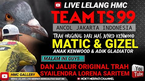 LIVE LELANG TEAM TS 99 ANCOL JAKARTA MERPATI KOLONG MERPATI LOVERS