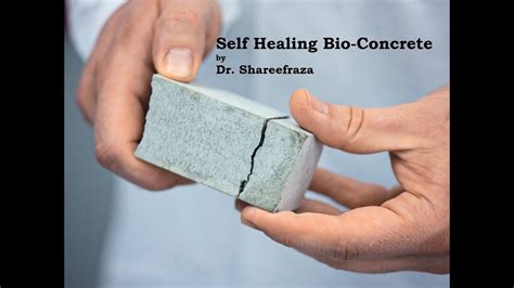 Biology For Engineers Module 5 Self Healing Of Bio Concrete Vtu