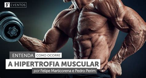 Entenda Como Ocorre A Hipertrofia Muscular