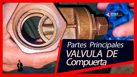 Valvula De Compuerta Mantenimiento Preventivo Para Conocer Sus Partes