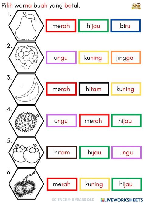 SAINS Mengenal Warna Worksheet