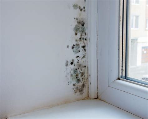 Comment Enlever L Humidité Dans Une Maison Ventana Blog