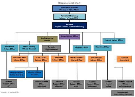 Divisions Of Forensic Science