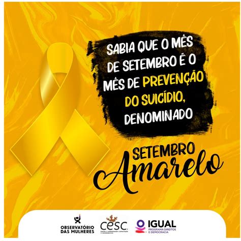 Setembro Amarelo Campanha Digital Observatorio Das Mulheres