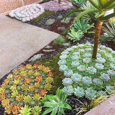 20 Cactus Front Yard Landscaping The Urban Decor