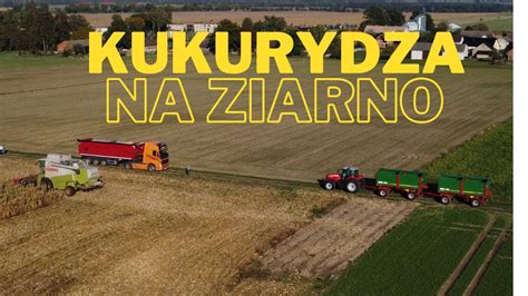 Kukurydza Na Ziarno Lexion W Kukurydzy Hmassey W Odwozie
