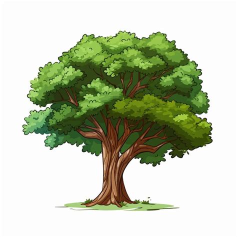 Premium AI Image AI Realistic Green Tree Illustration White Background