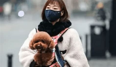 Coronavirus Cómo atender a mi mascota durante el estado de emergencia