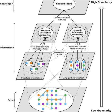 the process of multi granularity information fusion download scientific diagram
