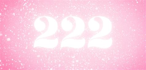 222 Angel Number Meaning For Soulmates Twin Flame Career