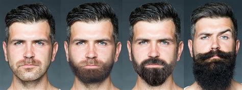 Tipos de barba confira quais são e como cuidar