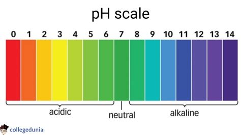 Ph Scale Diagram