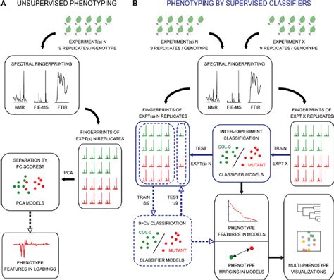 flow charts for unsupervised phenotyping a versus phenotyping by download scientific diagram