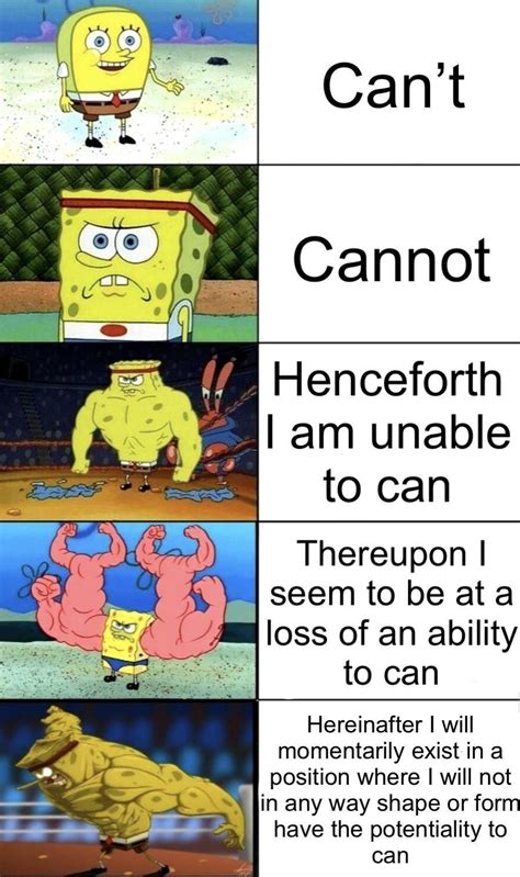 Didnt Know Whether To Post Here Or Increasingly Verbose R Memes