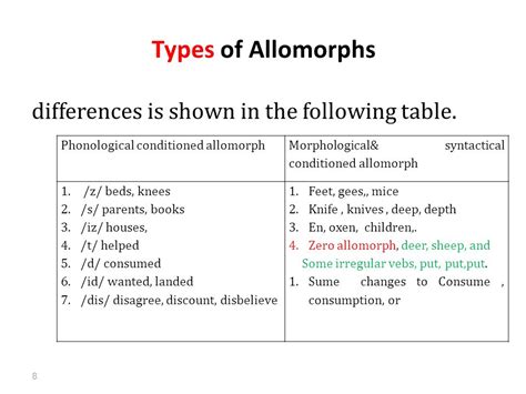 Exemple D Allomorphe