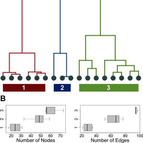 a hierarchical cluster analysis of individual network maps based on download scientific