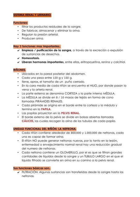 SISTEMA RENAL Y URINARIO Milagros Lujan UDocz