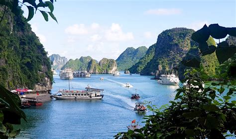 Quần thể Vịnh Hạ Long quần đảo Cát Bà được công nhận là Di sản Thiên