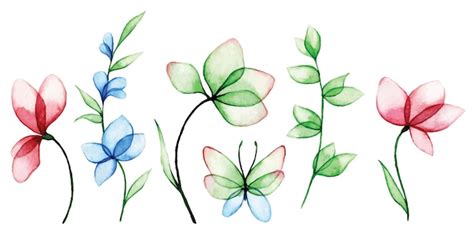 Conjunto De Dibujos De Acuarela De Flores Transparentes Y Hojas De