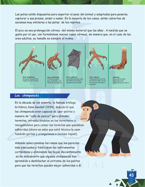 CIENCIAS NATURALES 4to Grado 1 Kingdom Editorial Página 45 Flip