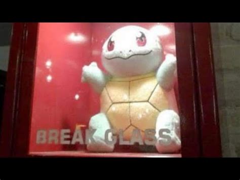 Pokemon Quest Where My Squirtle Squirts YouTube