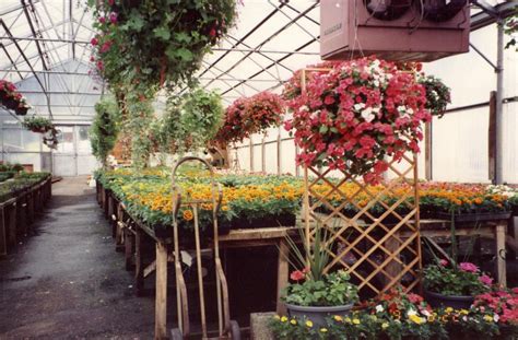 OUR HISTORY Hunters Garden Centre Flower Shop