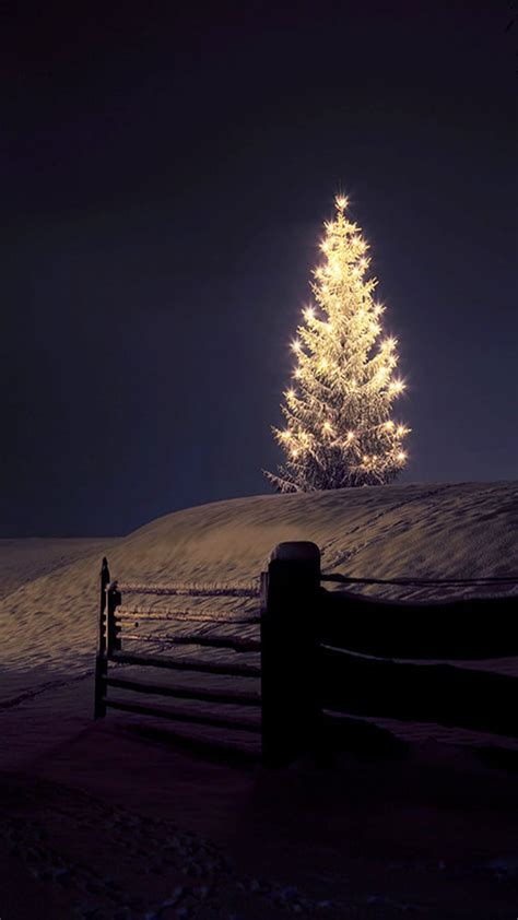 Wallpaper Christmas Night Picture Myweb