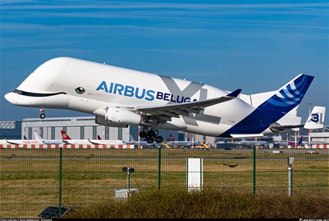 F Gxli Airbus Transport International Airbus A L Beluga Xl Photo