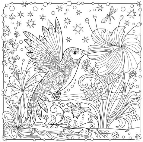 Hummingbird Colouring Page Bird Coloring Pages Ocean Coloring Pages