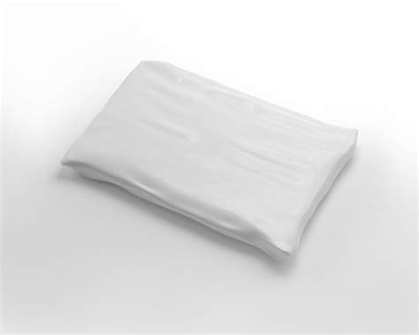 Free Poly Mailer Bag Mockup Behance