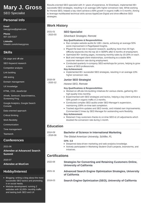 Seo Resume Seo Skills Examples Guide For