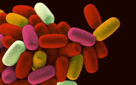Into The Complexity Of Microbial Communities Instituto Gulbenkian De