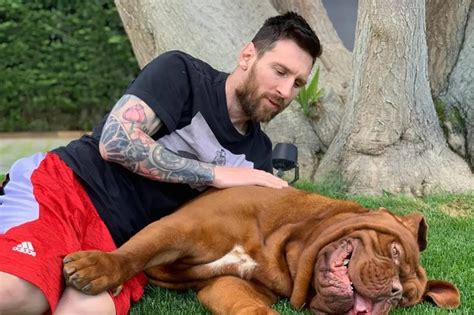 Revelaron qué pasó con Hulk el perro gigante de Lionel Messi en
