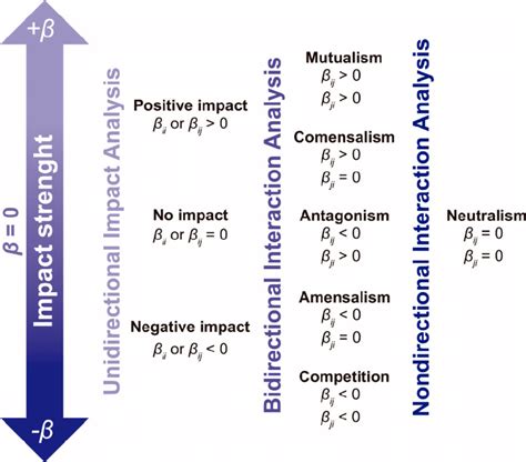 Unidirectional Impact And Bidirectional Interaction Analysis