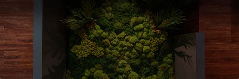 Biophilic Design Meaning How Do You Utilise It Well