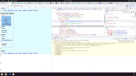 Vue Warn Failed To Resolve Component Nuxt Img Issue 745 Nuxt
