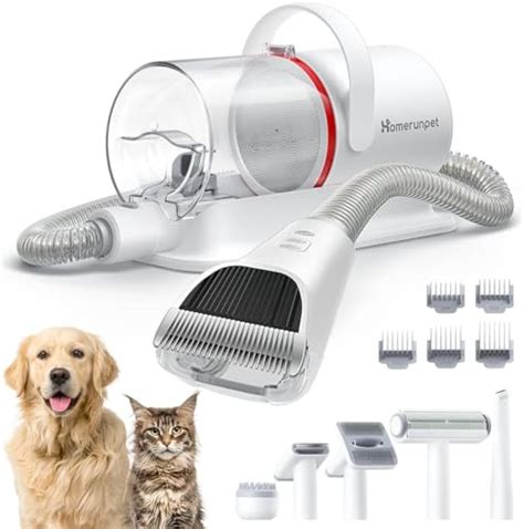 Le Meilleur Aspirateur Pour Poil De Chien Comparatif 2024 Avis Et