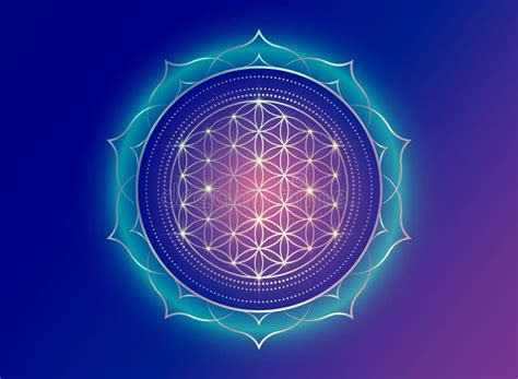 Semente Do Símbolo Da Vida Geometria Sagrada Mandala Geométrica