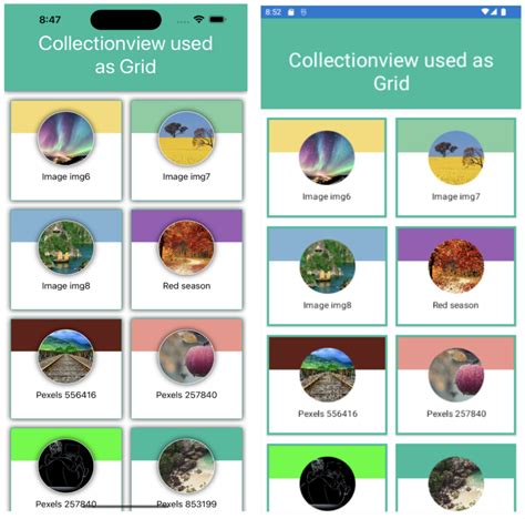How To Use Collectionview As A Griditemlayout In Xamarin