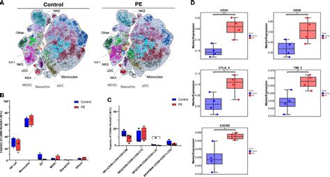 Frontiers Phenotypic And Functional Alteration Of CD45 Immune Cells
