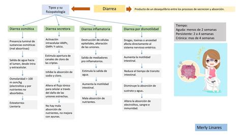 Mapa Conceptual Diarrea Udocz Porn Sex Picture