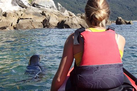 1 Day Sea Kayak Rental