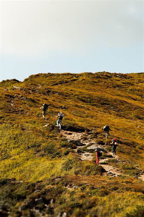 Free Images Landscape Sea Coast Nature Rock Wilderness Walking