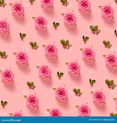 Arriba Imagen Fondos De Rosas Color Pastel Abzlocal Mx