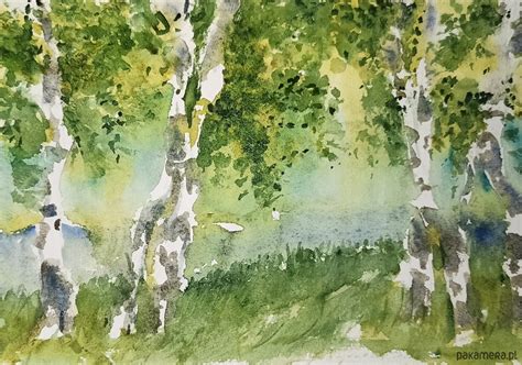 WYPRZEDAŻ OBRAZÓW Akwarela pejzaż brzozy oryginalny obraz A5 21x15 cm