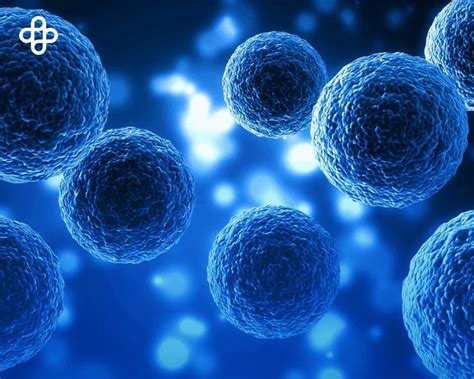 Despertando Esperanzas Avance en el Tratamiento del Lupus con Células